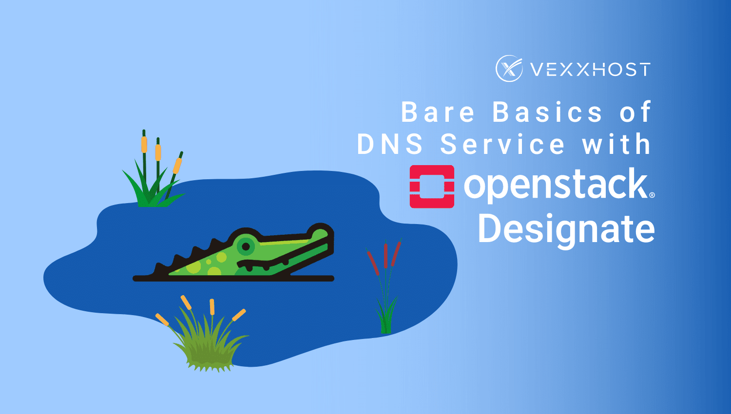 Bare Basics of DNS Service with OpenStack Designate | VEXXHOST